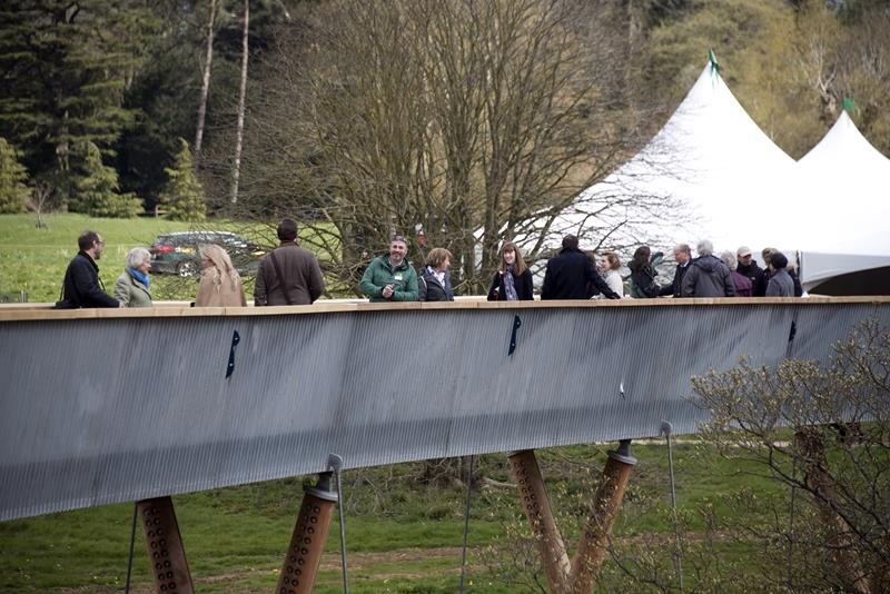 Snapped: Westonbirt Arboretum Tree Walk