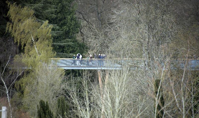 Snapped: Westonbirt Arboretum Tree Walk