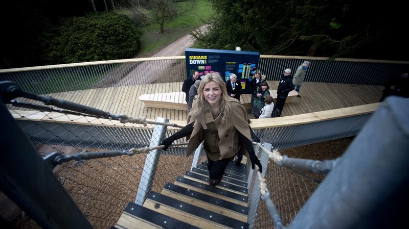Snapped: Westonbirt Arboretum Tree Walk