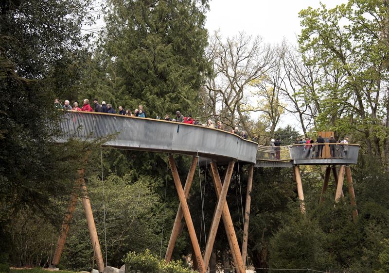 Snapped: Westonbirt Arboretum Tree Walk