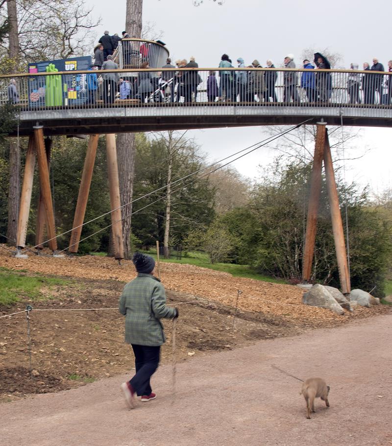 Snapped: Westonbirt Arboretum Tree Walk