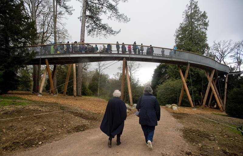 Snapped: Westonbirt Arboretum Tree Walk