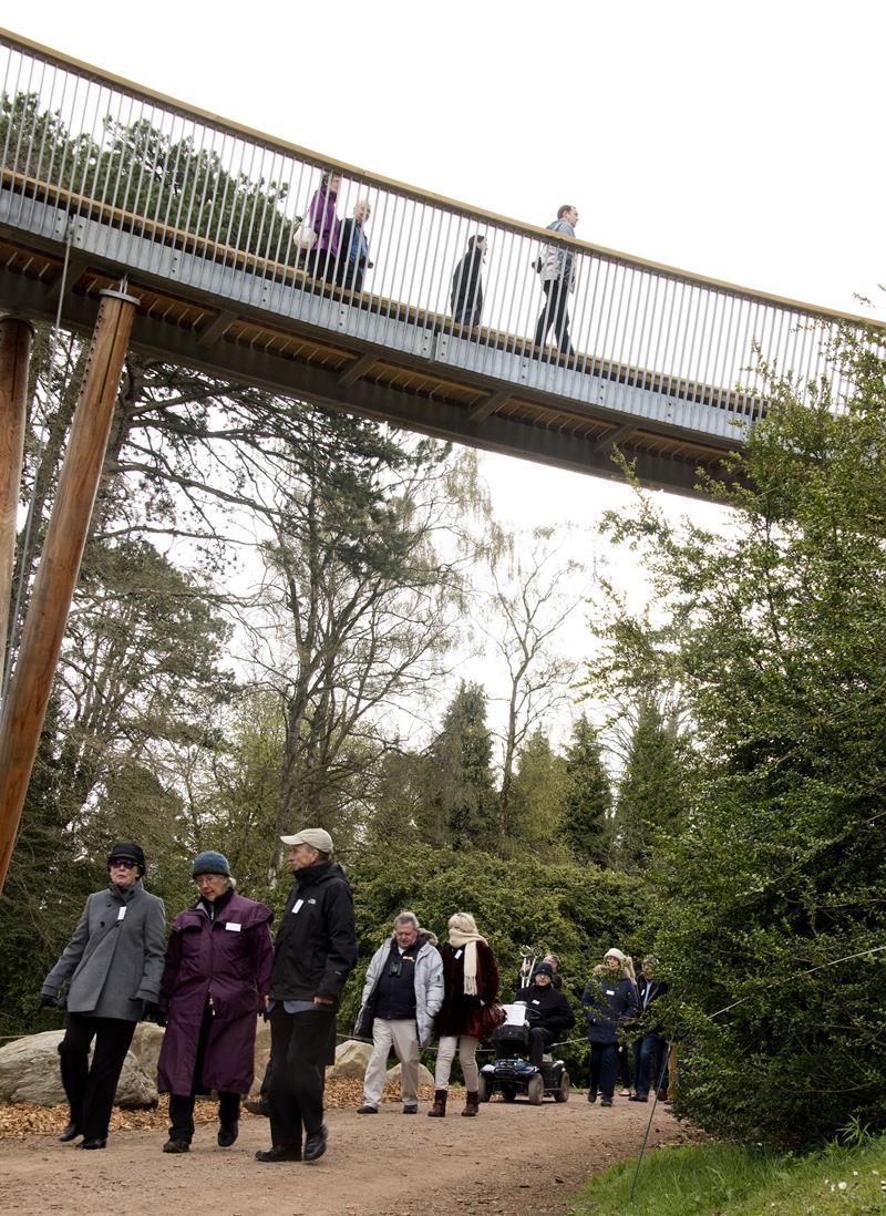 Snapped: Westonbirt Arboretum Tree Walk